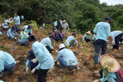 Greenery Day - Calendar 05 - Explore Japan - Kids Web Japan - Web Japan