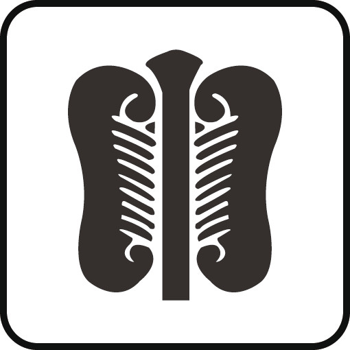 Kamon (Family Crests) - Symbols of the Family Brimming with Design ...