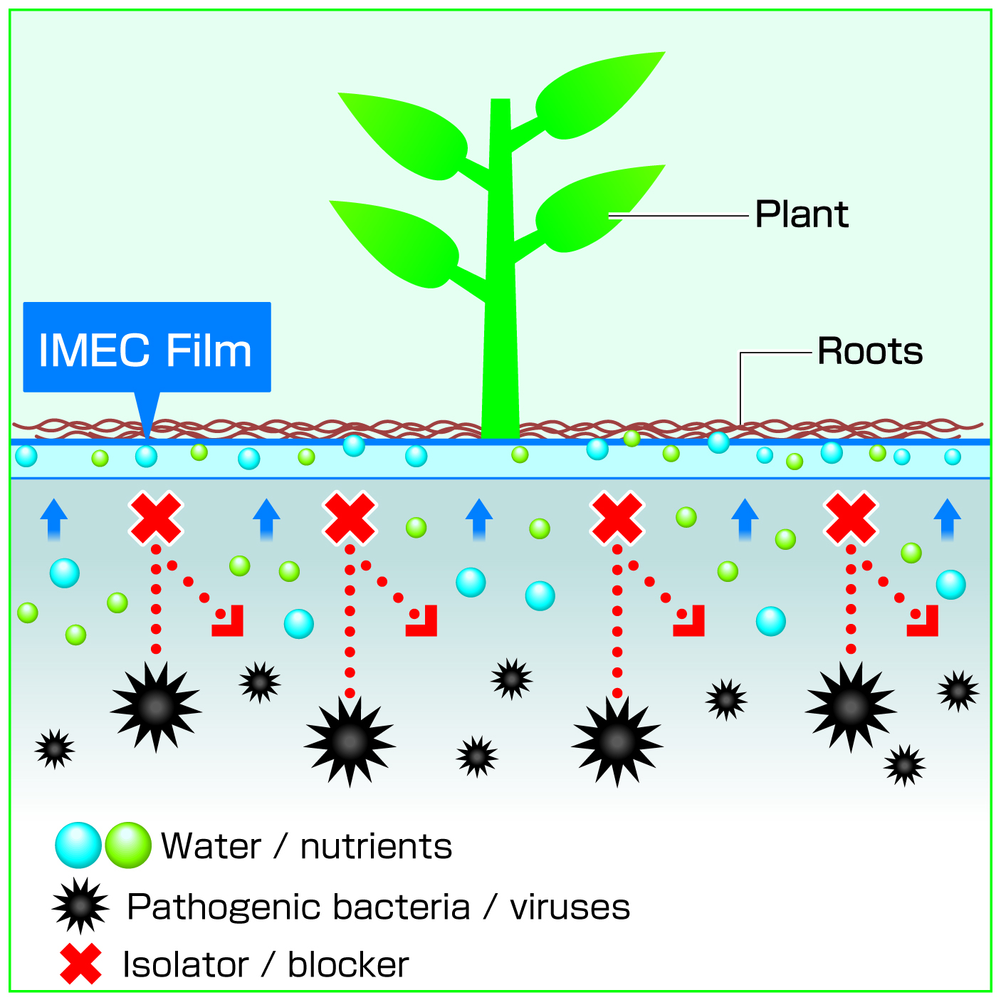 Various Japanese Cultivation Technologies Help to Overcome ...